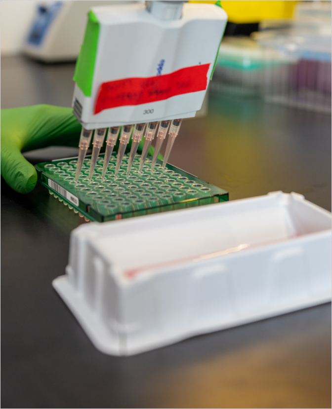 The College Faculty Site