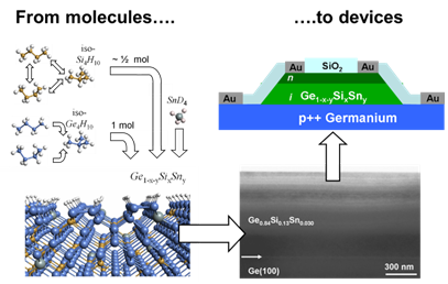 The College Faculty Site